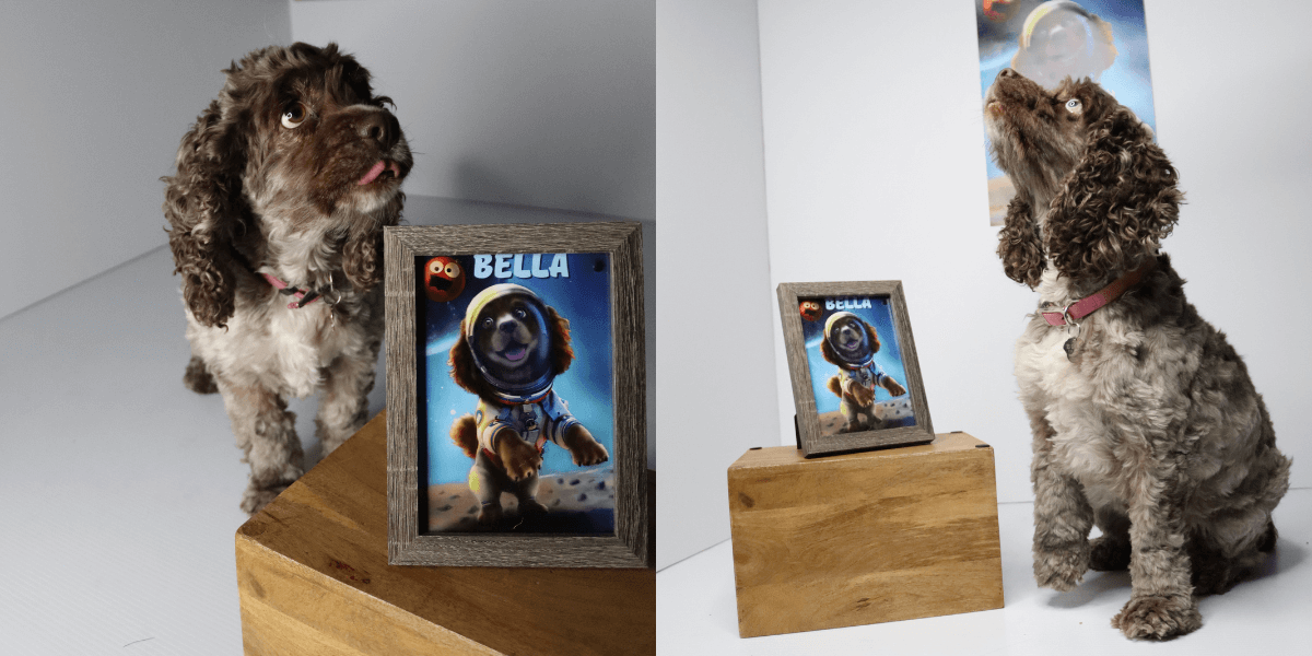 Ani-mal's Design: Cartoonized Pet Art Turns Into a Pet Photoshoot